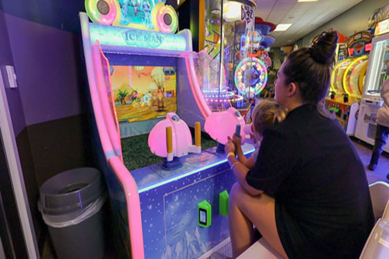 Soaring Eagle Waterpark And Hotel