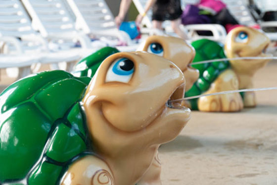 Soaring Eagle Waterpark And Hotel