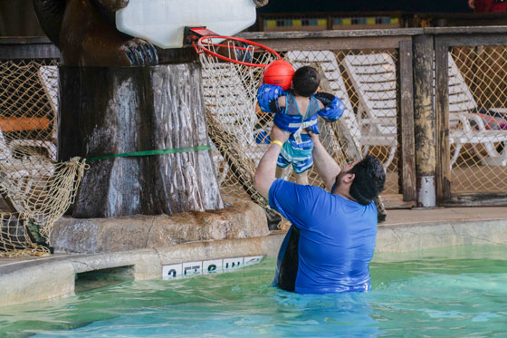 Soaring Eagle Waterpark And Hotel