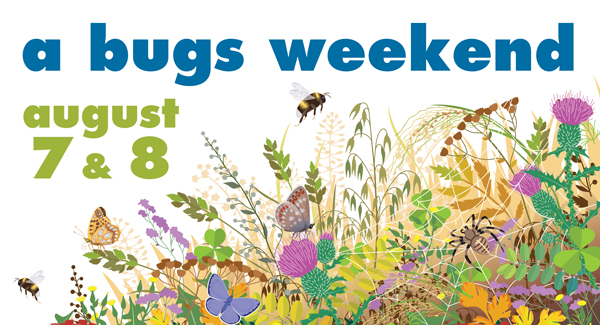 Soaring Eagle Waterpark And Hotel