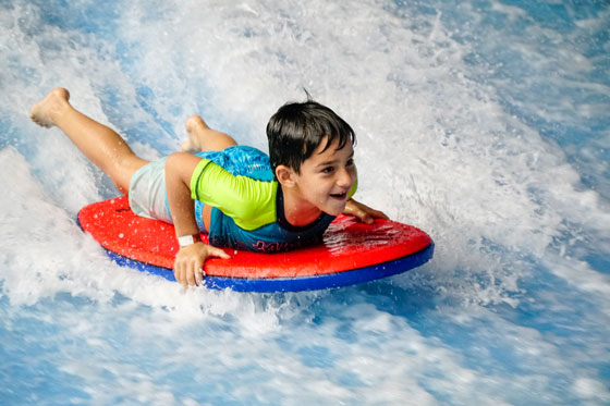 Soaring Eagle Waterpark And Hotel